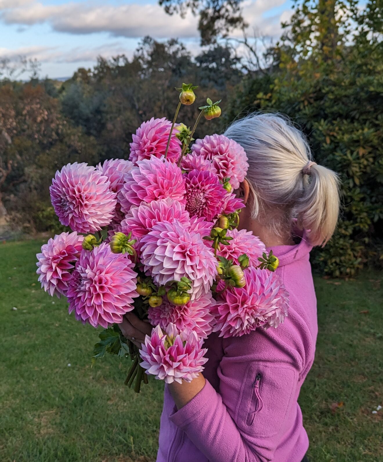 Farm 205 BarBee Girl – Dahlia Hills Farm